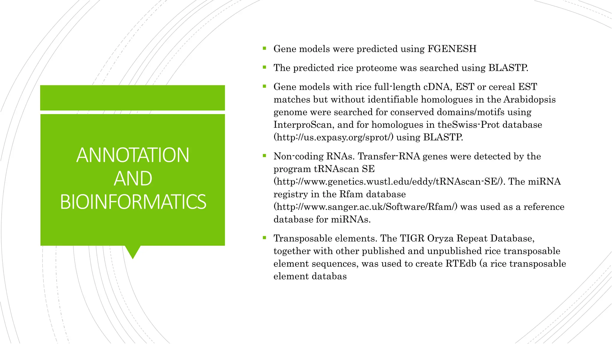 Rice Genome Project a complete saga .(1).pptx