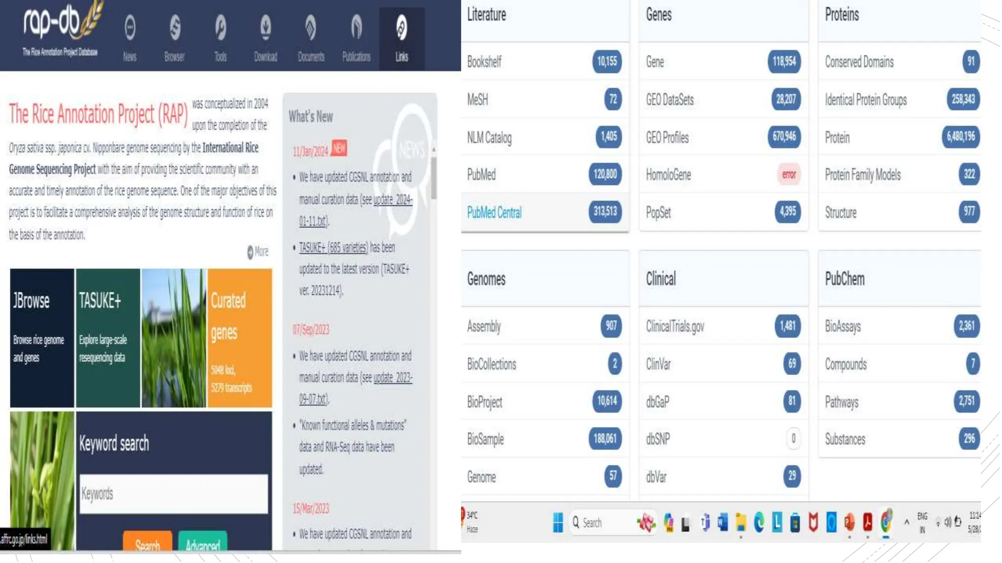 Rice Genome Project a complete saga .(1).pptx