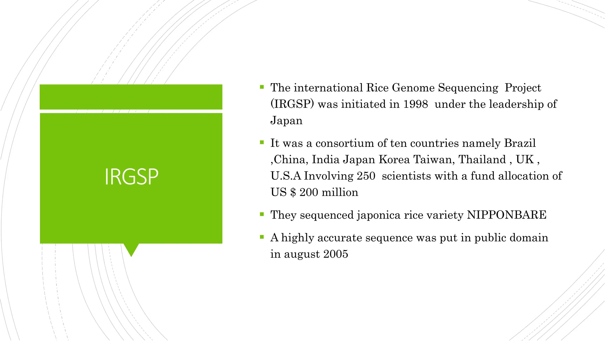 Rice Genome Project a complete saga .(1).pptx