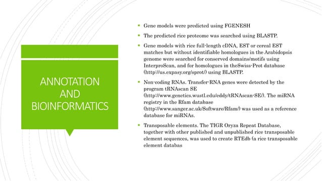 Rice Genome Project a complete saga .(1).pptx