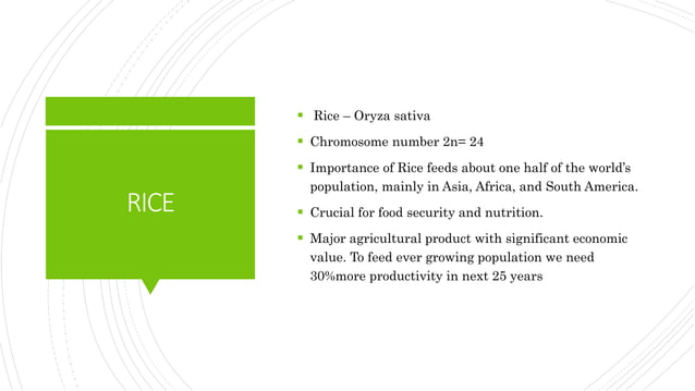 Rice Genome Project a complete saga .(1).pptx