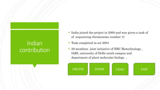 Rice Genome Project a complete saga .(1).pptx