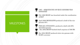 Rice Genome Project a complete saga .(1).pptx
