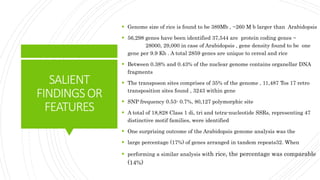 Rice Genome Project a complete saga .(1).pptx