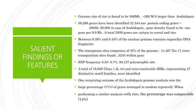 Rice Genome Project a complete saga .(1).pptx