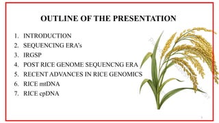 Rice Genomics & Whole Genome Sequencing.pptx