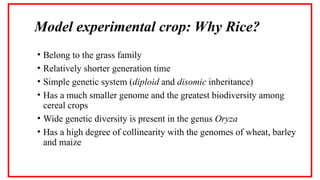 Rice Genomics & Whole Genome Sequencing.pptx