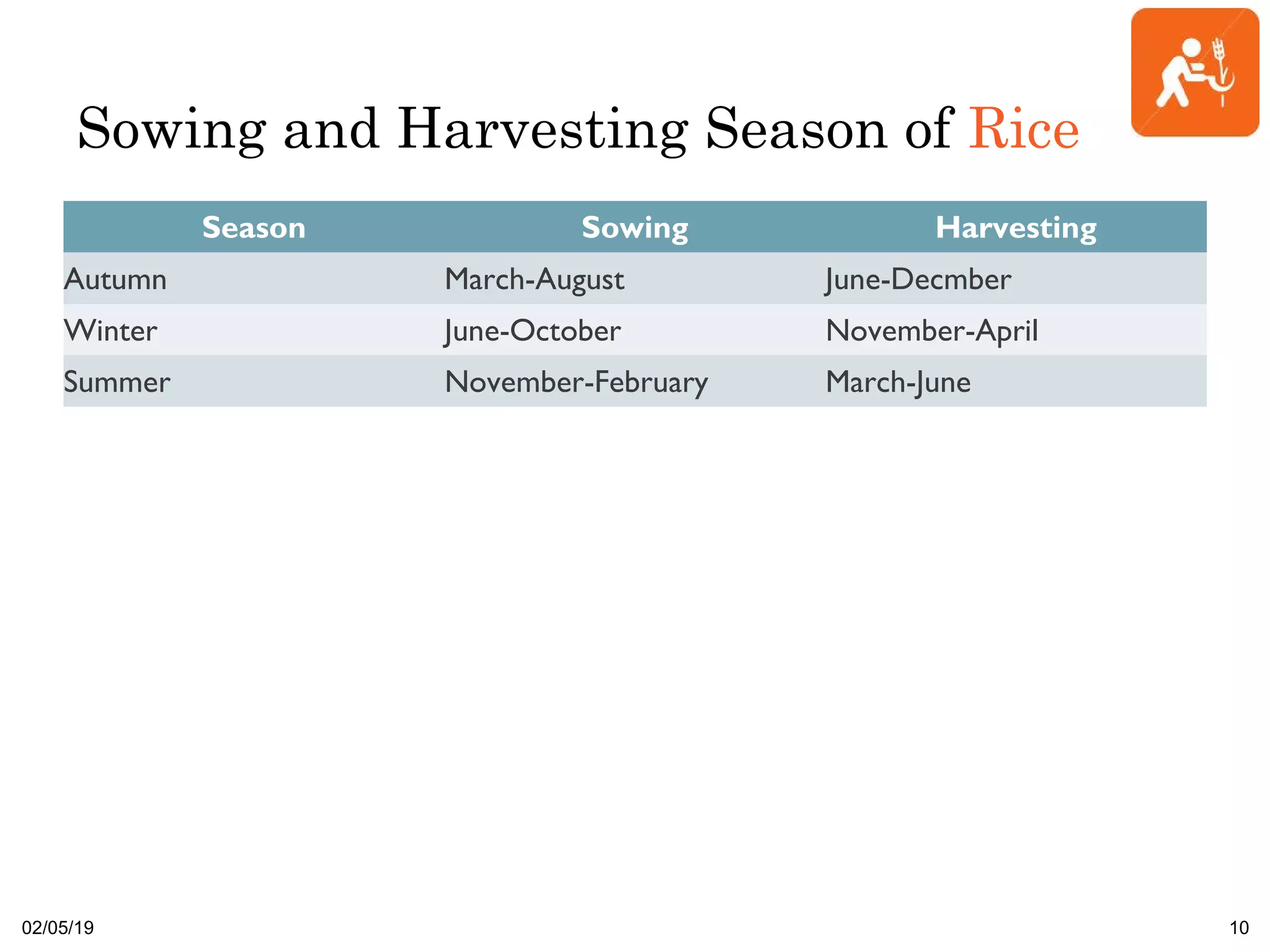 Rice grains, rice tips, rice bran & rice polish in animal nutrition | PPT