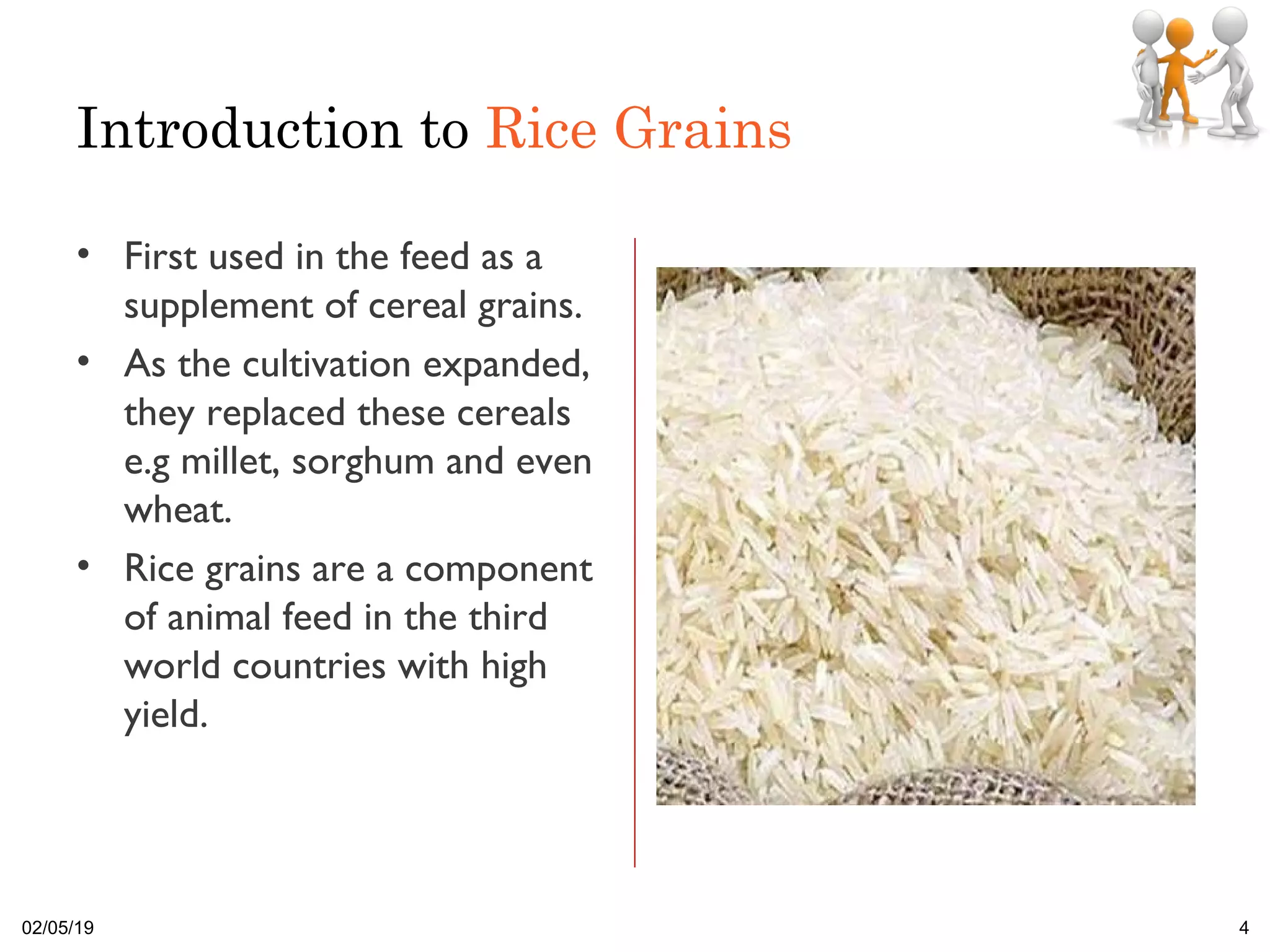 Rice grains, rice tips, rice bran & rice polish in animal nutrition | PPT