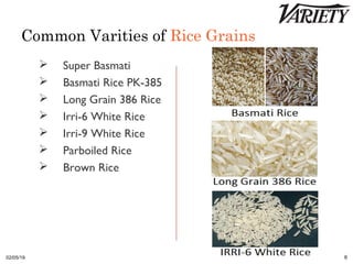Rice grains, rice tips, rice bran & rice polish in animal nutrition | PPT