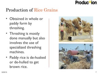 Rice grains, rice tips, rice bran & rice polish in animal nutrition | PPT