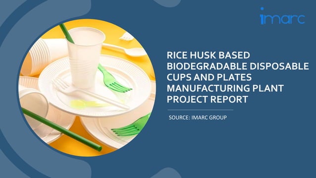 Rice Husk Based Biodegradable Disposable Cups and Plates Manufacturing ...