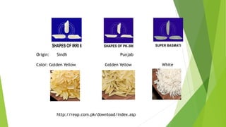 Rice industry in pakistan | PPT