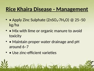 Rice_Khaira_and_Tungro_Presentation.pptx