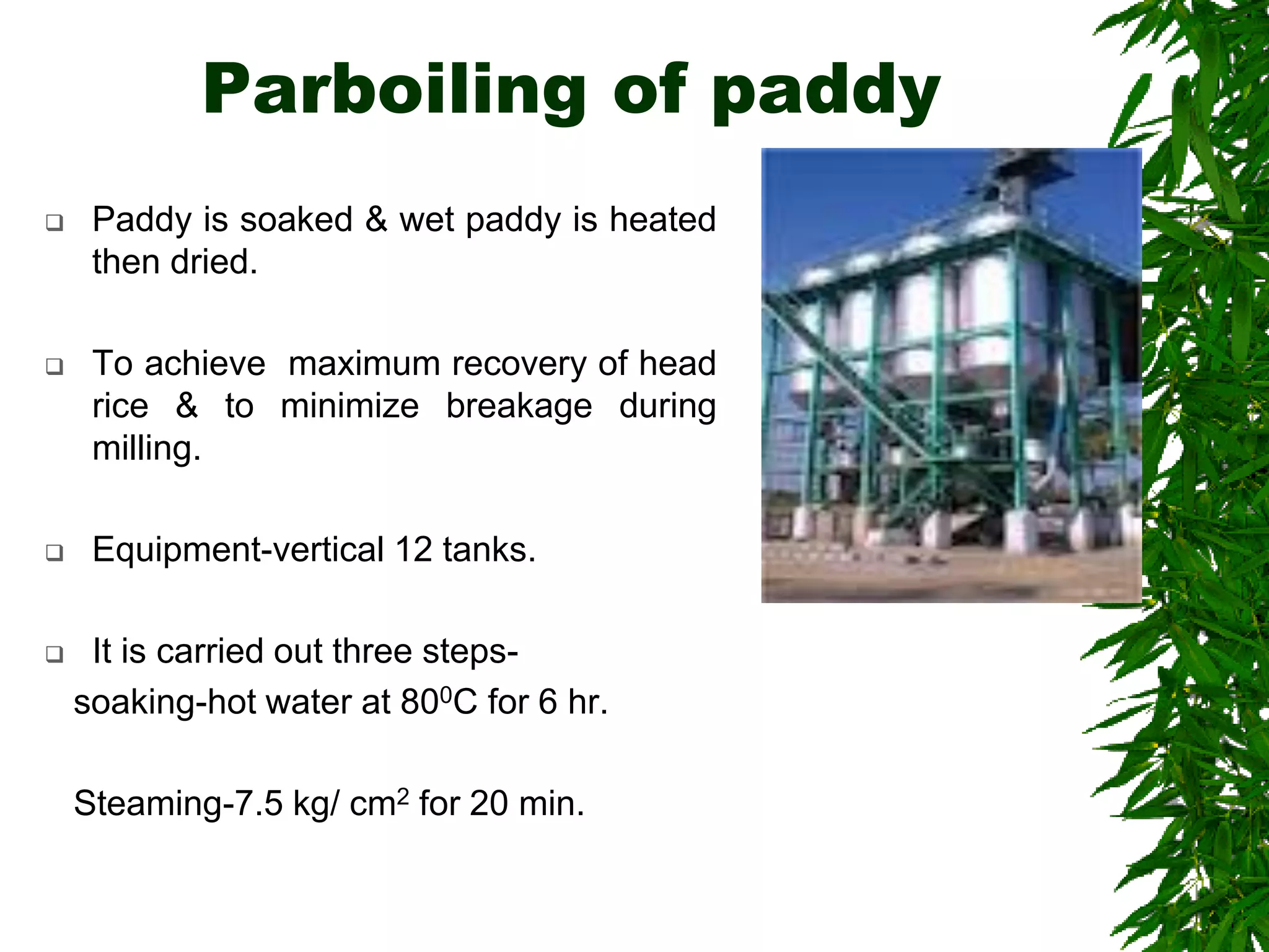 Rice mill PPT by om | PDF
