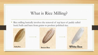 RICE MILLING chitesh kumar.pptx