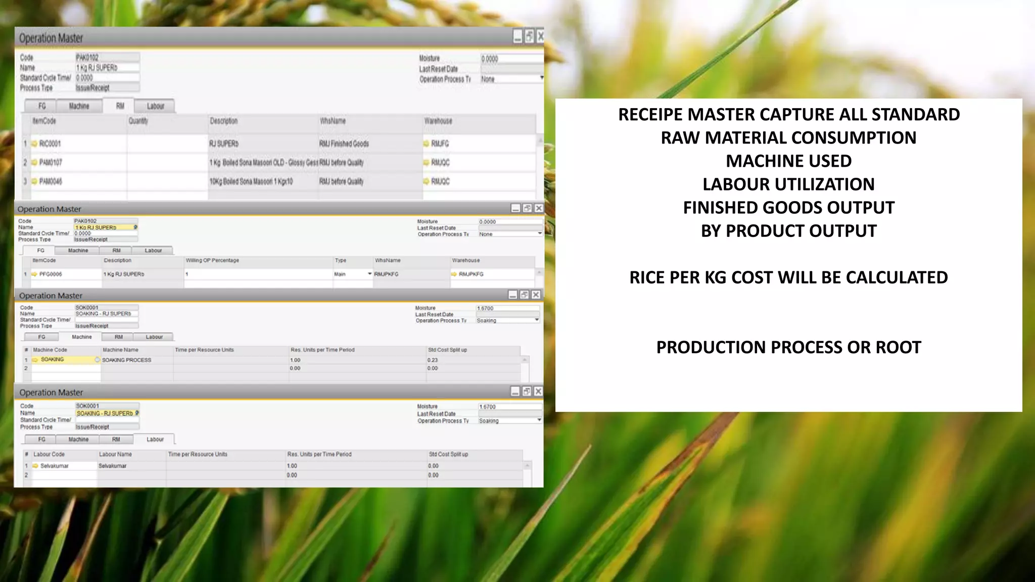 ERP for Rice Mill Solutions | SAP Business for Rice Mill Solutions ...