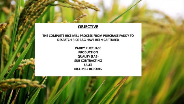 ERP for Rice Mill Solutions | SAP Business for Rice Mill Solutions ...