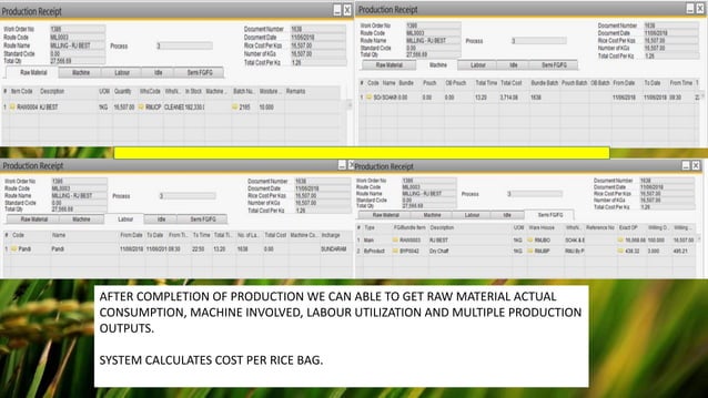 ERP for Rice Mill Solutions | SAP Business for Rice Mill Solutions | Ananth Info Solutions | PDF