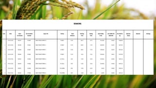 ERP for Rice Mill Solutions | SAP Business for Rice Mill Solutions ...