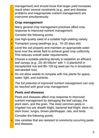 Rice nutrient | PDF