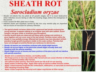 RICE PESTS AND DISEASES RK DE 2022.ppt