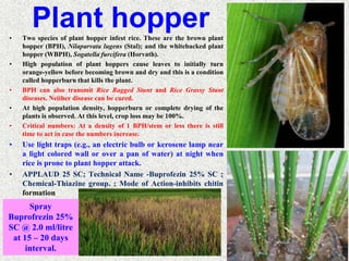 RICE PESTS AND DISEASES RK DE 2022.ppt