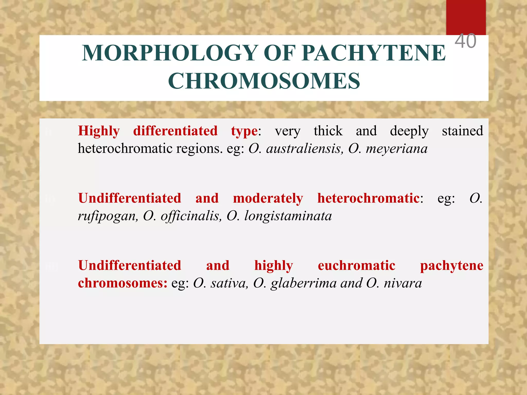 Origin, Evolution, And Cytogenetic Studies In Rice | PPTX
