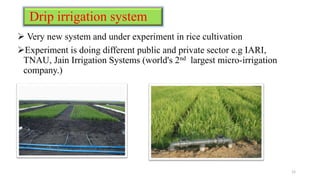 riceppt-r13036-161121064709.pdf