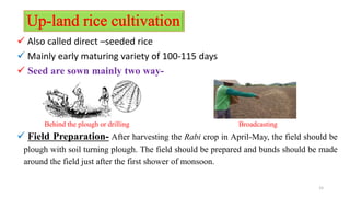 riceppt-r13036-161121064709.pdf
