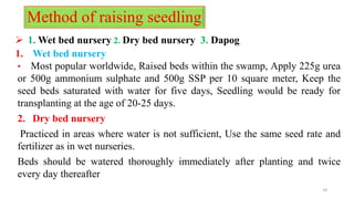 Rice Cultivation | PPTX