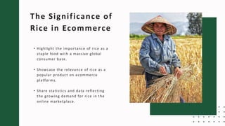 Rice Price Analysis For Ecommerce Success | PPTX