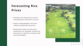 Rice Price Analysis For Ecommerce Success | PPTX