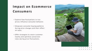 Rice Price Analysis For Ecommerce Success | PPTX