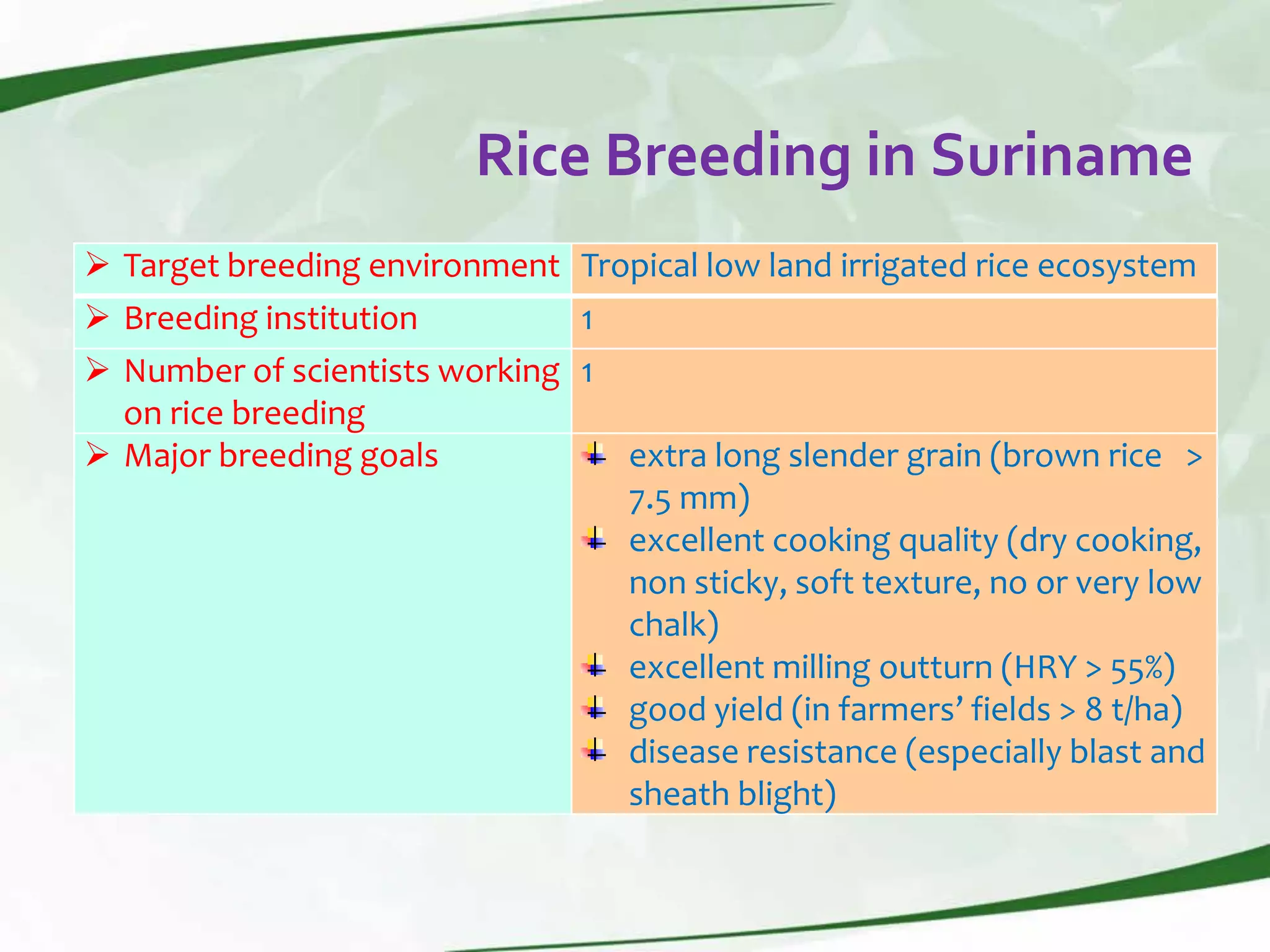 Rice production and research in Suriname | PDF