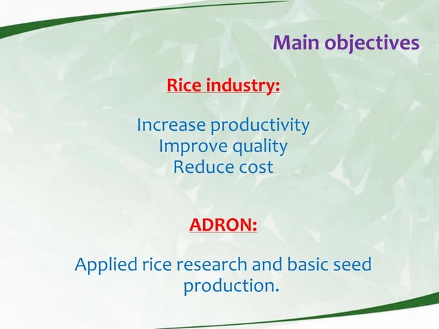 Rice production and research in Suriname | PDF | Agriculture | Industries
