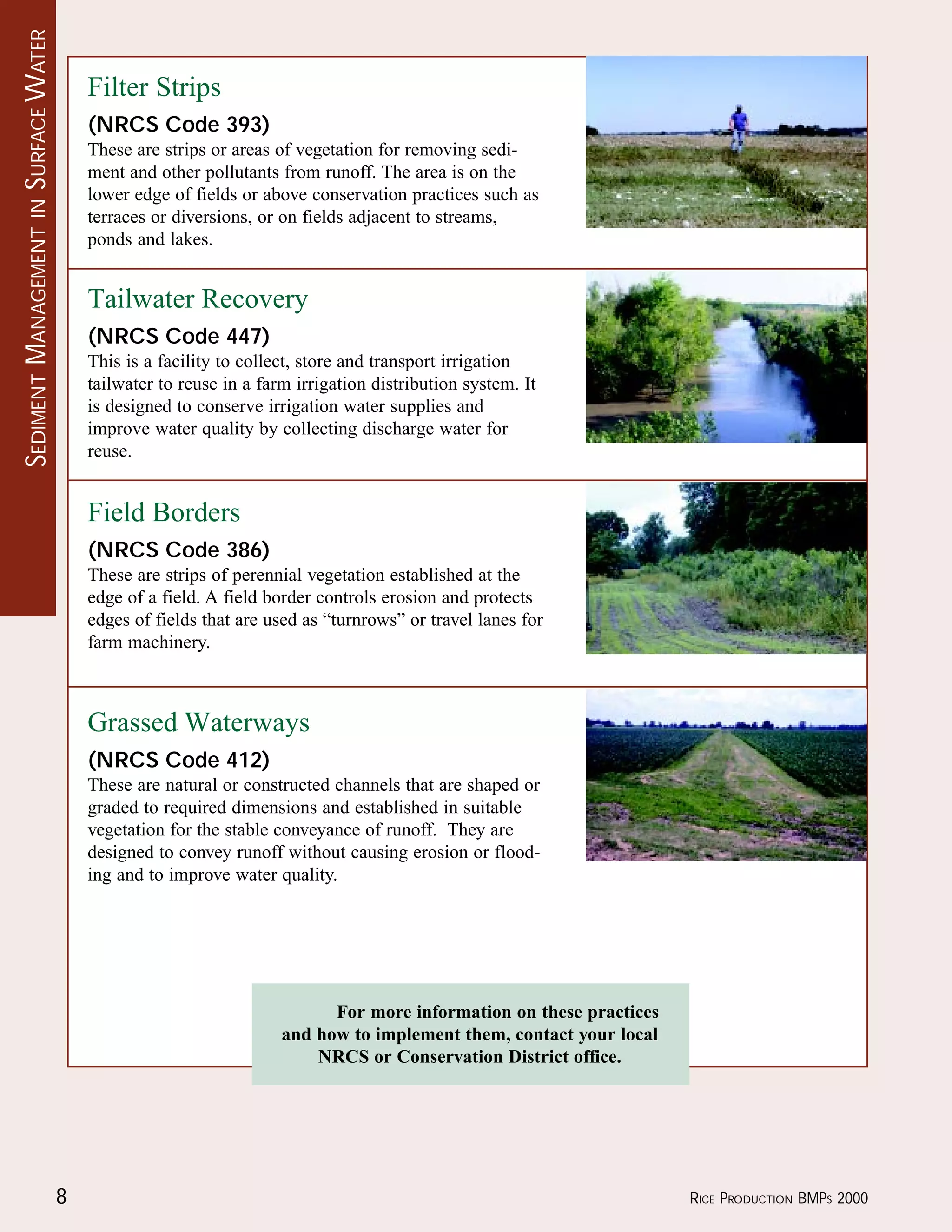 Rice production best management practices | PDF