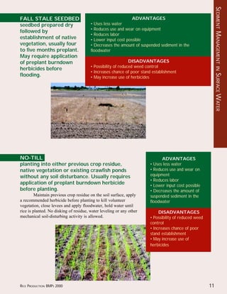 Rice production best management practices | PDF