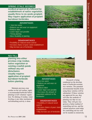 Rice production best management practices | PDF