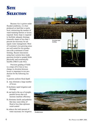 Rice production best management practices | PDF