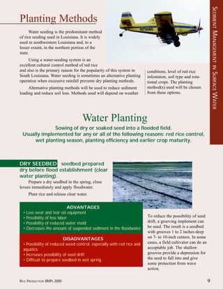 Rice production best management practices | PDF