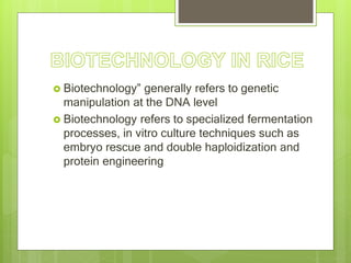 Rice production in agriculture biotechnology | PPTX