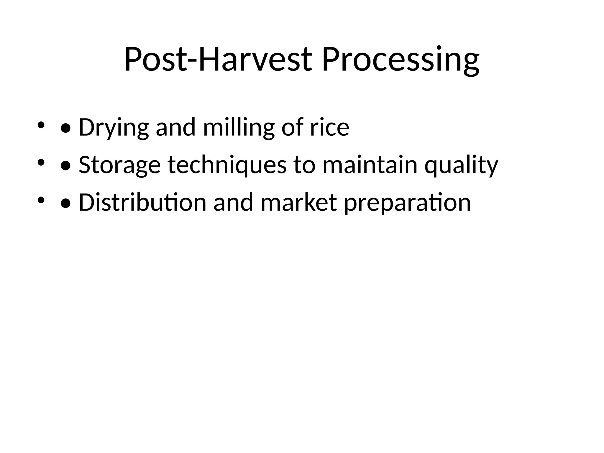 Rice_Production_Presentation from planting to harvesting | PPTX