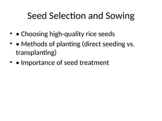 Rice_Production_Presentation from planting to harvesting | PPTX