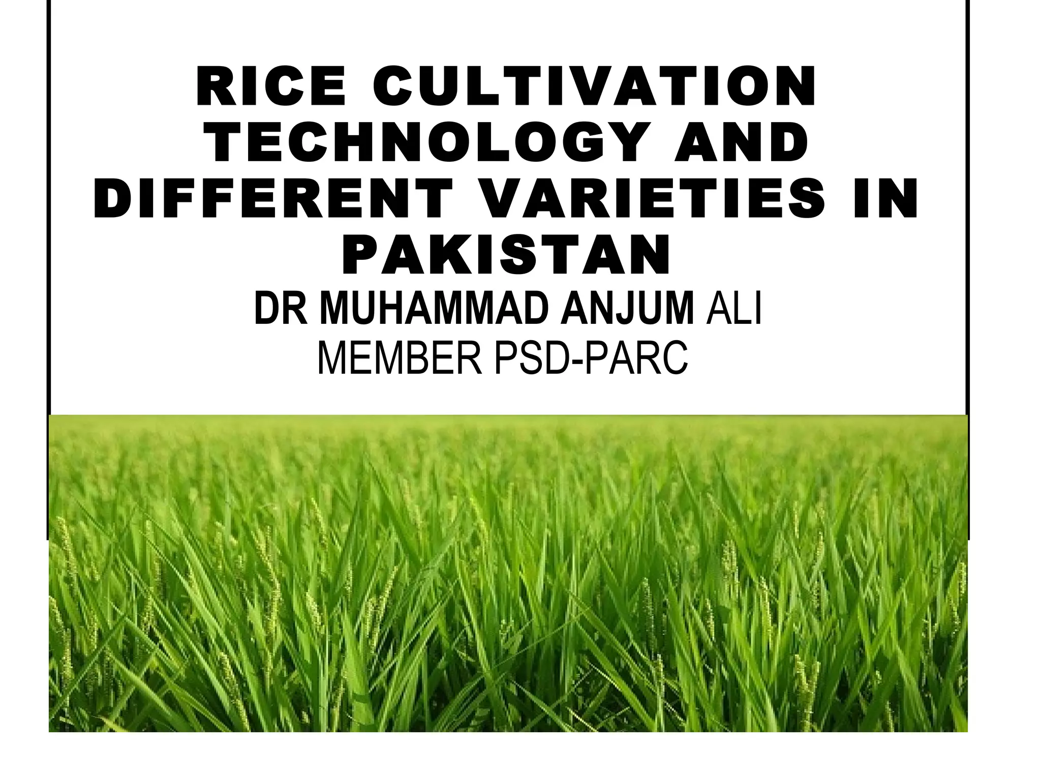 RICE PRODUCTION TECHNOLOGIES | PPT