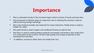 Rice production technology in detail.pptx