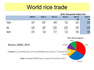 Rice production - trading - marketing & current situation | PPT