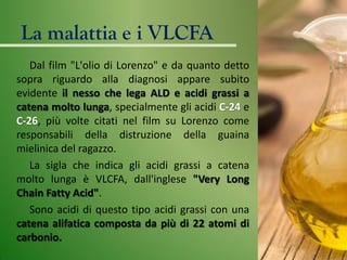 Acidi Grassi, lezione di scienze di Andrea Piazza | PDF | Endocrine and ...