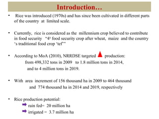 Rice research and production in ethiopia | PPT
