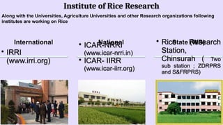 Rice research scenario ,challenges in WB.pptx